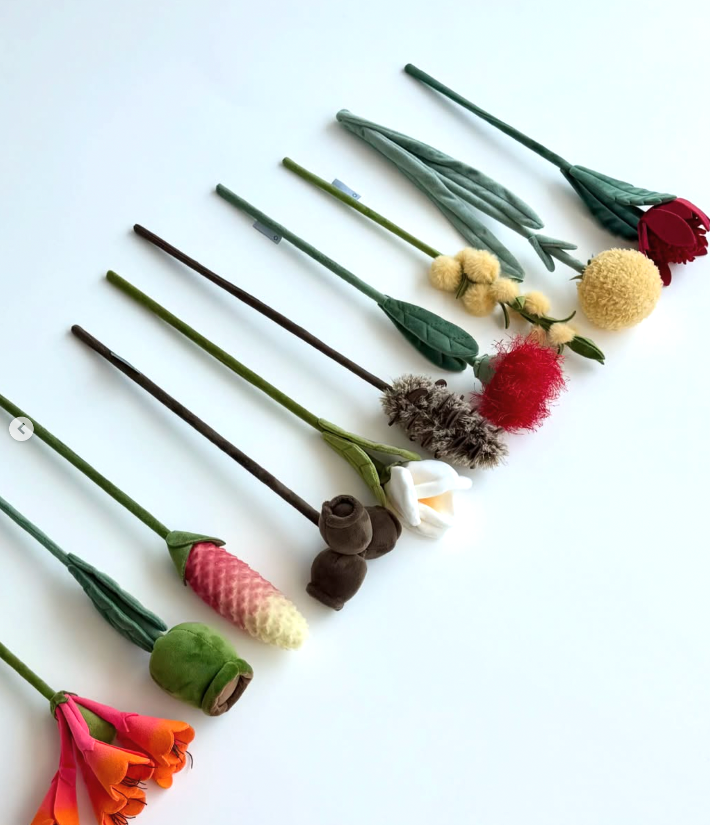 Flower Market 2026 (Australian Native) – Gallery OZ